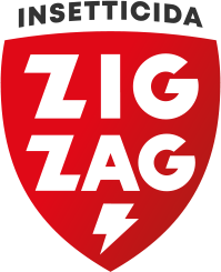 La malmignatta: il ragno dal veleno più pericoloso in Italia - Zig Zag