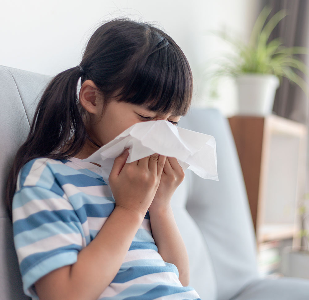 Acari: come difendersi e come prevenire - Zig Zag