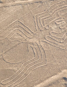 Il Ragno: simbologia, miti, aneddoti e curiosità - Zig Zag