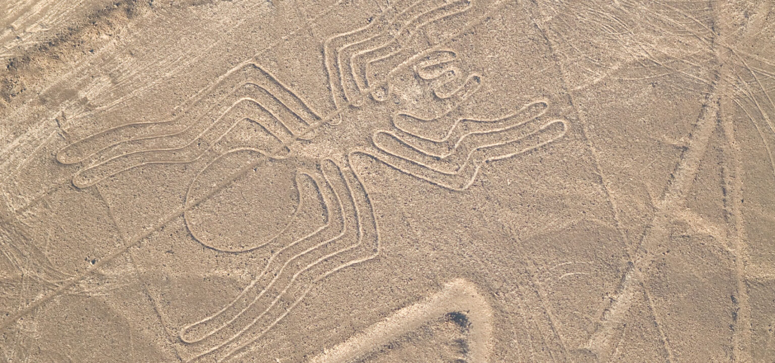 Il Ragno: simbologia, miti, aneddoti e curiosità - Zig Zag