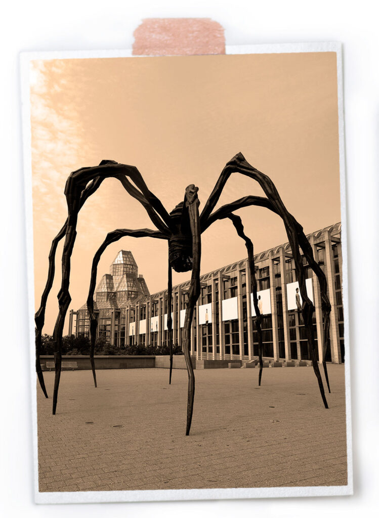 Il Ragno: simbologia, miti, aneddoti e curiosità - Zig Zag